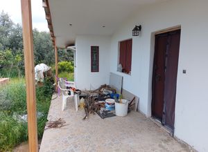 Πώληση, Μονοκατοικία, 28τ.μ. Χαλκίδα, Έξω Παναγίτσα | 13951818 | Spitogatos