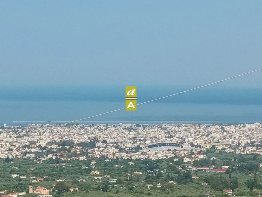 ΚΑΡΥΑ ΕΛΕΚΙΣΤΡΑΣ ΠΩΛΗΣΗ ΟΙΚΟΠΕΔΟΥ