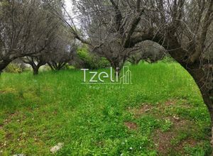 Πώληση, Αγροτεμάχιο, 1750τ.μ. Ρίο, Ψαθόπυργος | 13783679 | Spitogatos