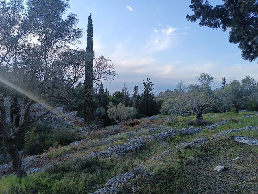 Πώληση, Οικόπεδο, 4200τ.μ. Λευκάδα, Περιοχη χώρας | 13965418 | Spitogatos