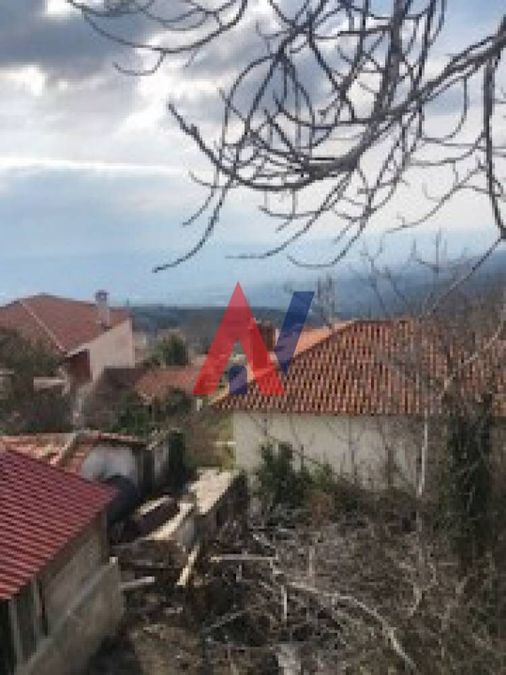 Πώληση, Μονοκατοικία, 600τ.μ. Βασιλικά, Περιστέρα | 14063734 | Spitogatos
