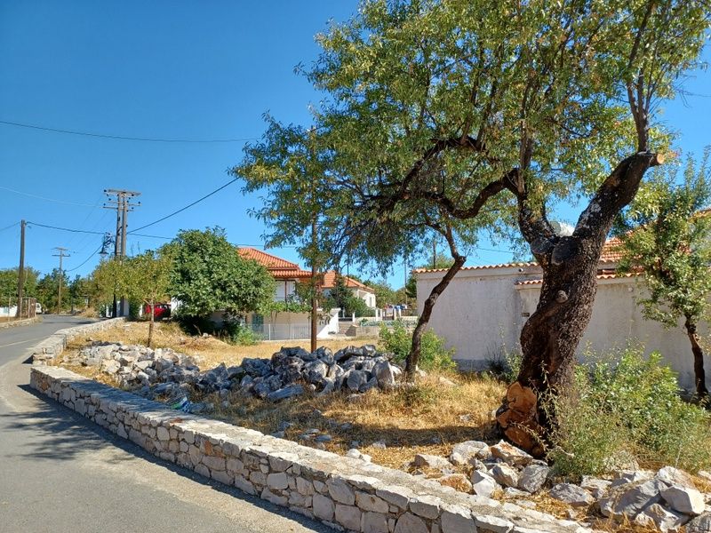 Πώληση, Οικόπεδο, 650τ.μ. Λεωνίδιο, Πηγάδι | 14035059 | Spitogatos