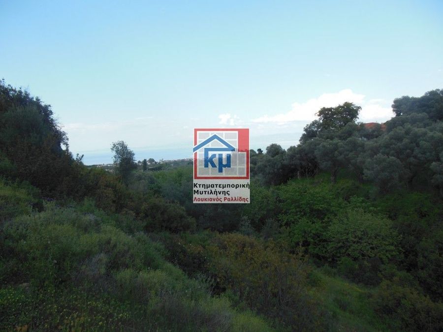 Πώληση, Οικόπεδο, 8200τ.μ. Λέσβος - Μυτιλήνη, Κουμκό | 14108664 ...