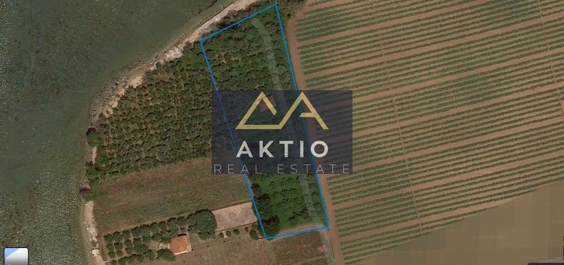 Πώληση, Αγροτεμάχιο, 8100τ.μ. Ανακτόριο, Άγιος Νικόλαος | 14177700 ...