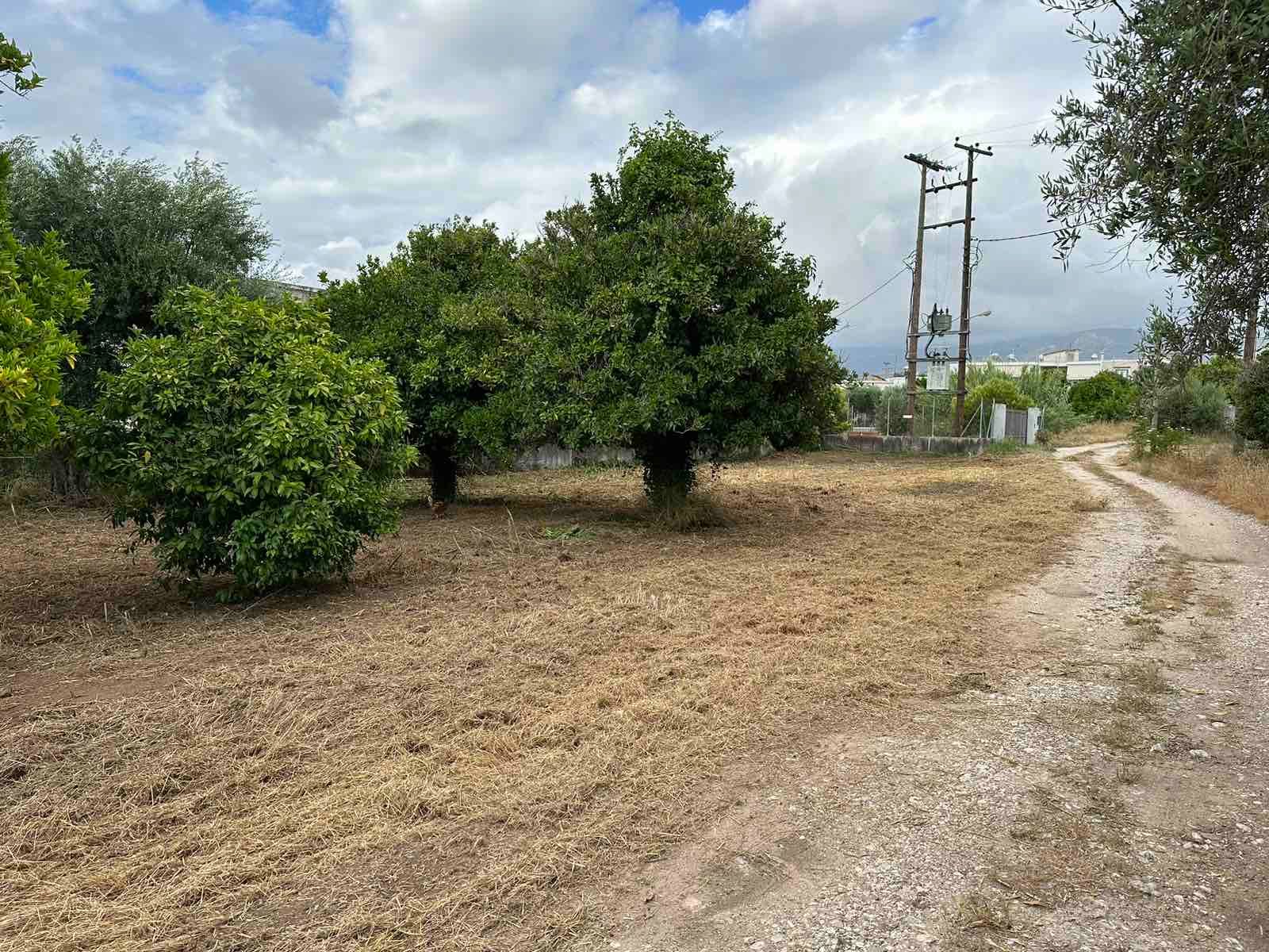 Οικόπεδο για αγορά, 440τ.μ., 39.000€ - Ιτιές | Spiti24