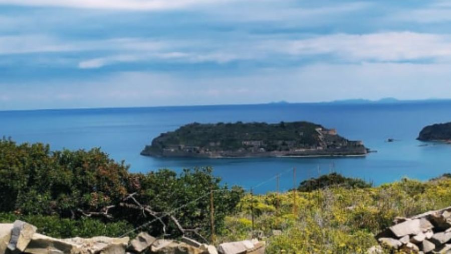 Πώληση, Οικόπεδο, 50000τ.μ. Άγιος Νικόλαος, Πλάκα | 14211614 | Spitogatos