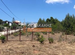 Sale, Plot, 420m² Artemida (Loutsa), Galini | 14239765 | Spitogatos