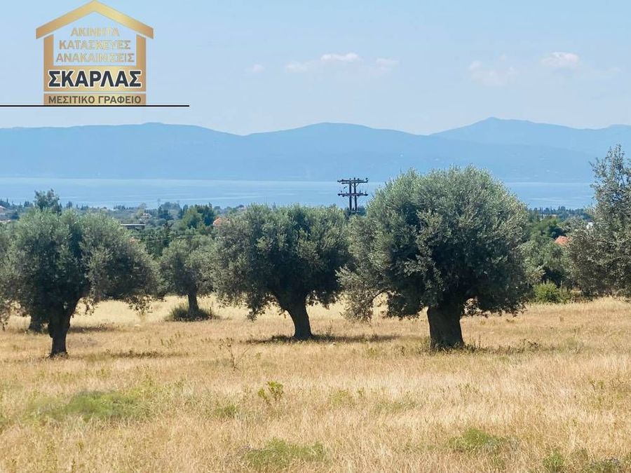 Πώληση, Αγροτεμάχιο, 4191τ.μ. Ερέτρια, Άγιοι Ασώματοι | 14258352 ...