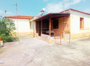 Πώληση, Μονοκατοικία, 70τ.μ. Ηράκλεια, Δασοχώρι | 14275901 | Spitogatos