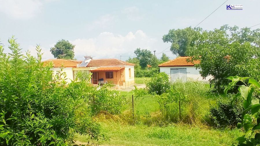 Πώληση, Μονοκατοικία, 70τ.μ. Ηράκλεια, Δασοχώρι | 14275901 | Spitogatos