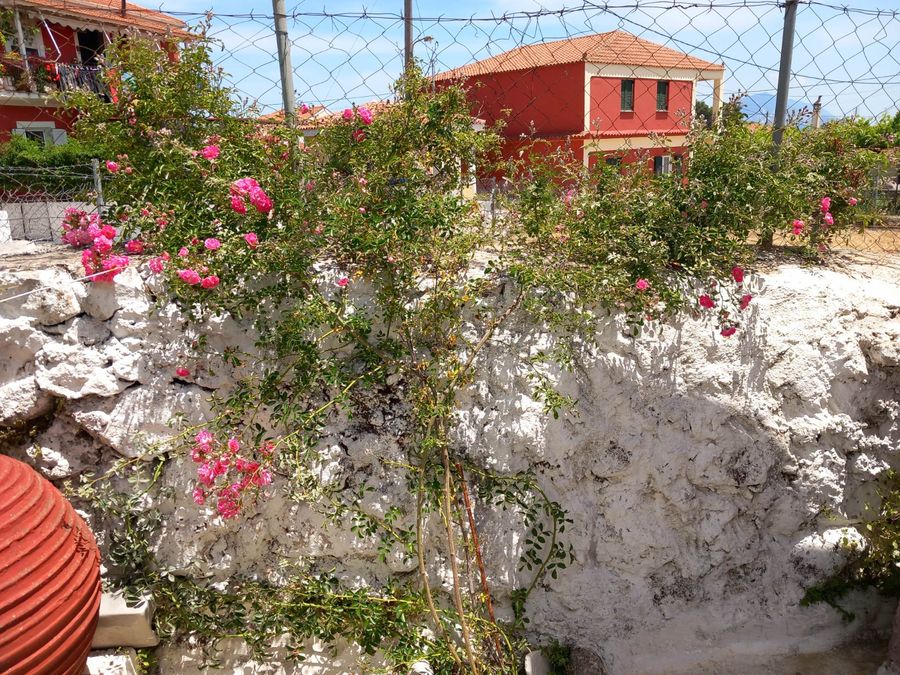 Ενοικίαση, Μονοκατοικία, 50τ.μ. Κεφαλονιά, Παλική | 14304201 | Spitogatos