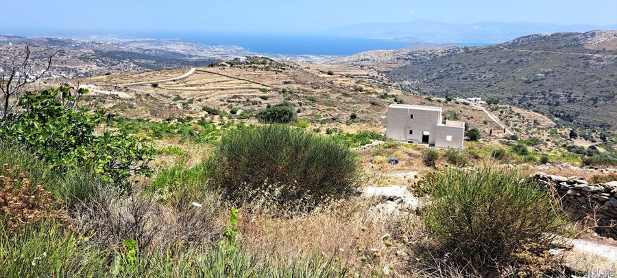 Πώληση, Αγροτεμάχιο, 2803τ.μ. Πάρος, Λεύκες | 14306446 | Spitogatos