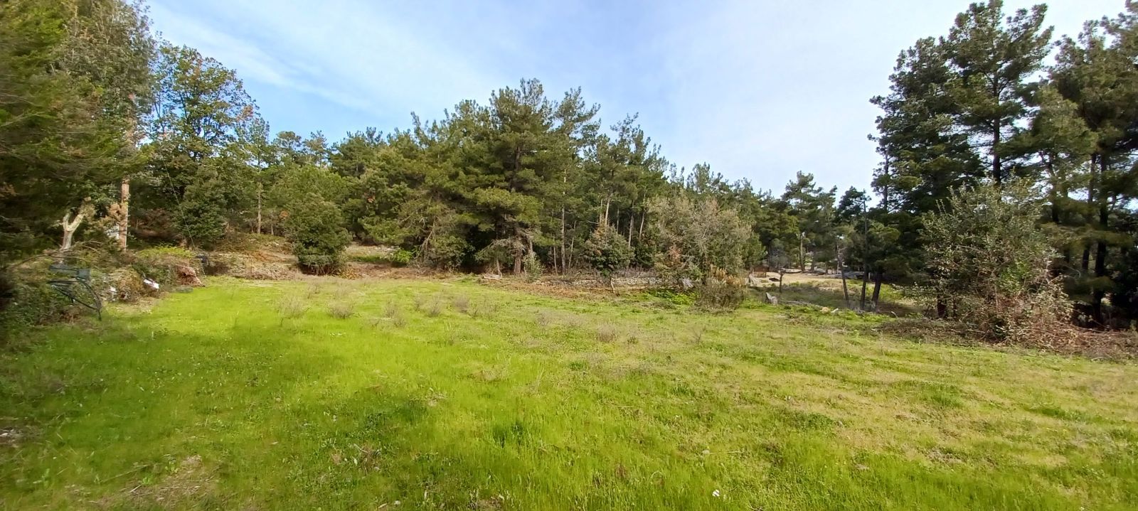 Buildable land in Rahes area