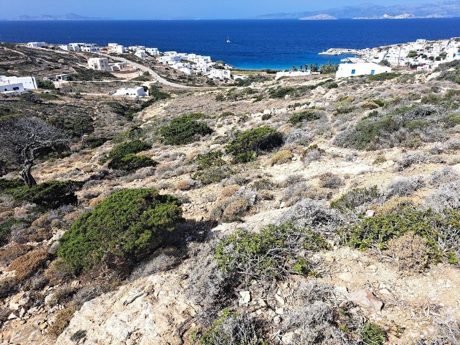 Αγροτεμάχιο προς πώληση Δονούσα