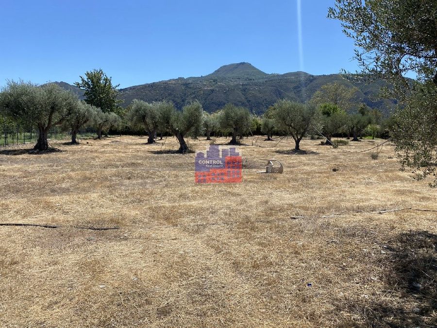 Οικόπεδο προς πώληση Τέμενη (Αίγιο)