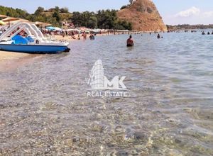 Πώληση, Αγροτεμάχιο, 16000τ.μ. Καλλικράτεια, Σωζόπολη | 14459438 ...