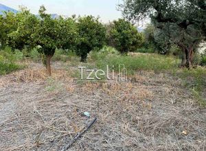 Πώληση, Οικόπεδο, 4100τ.μ. Πάτρα, Εργατικές Κατοικίες | 14467723 ...