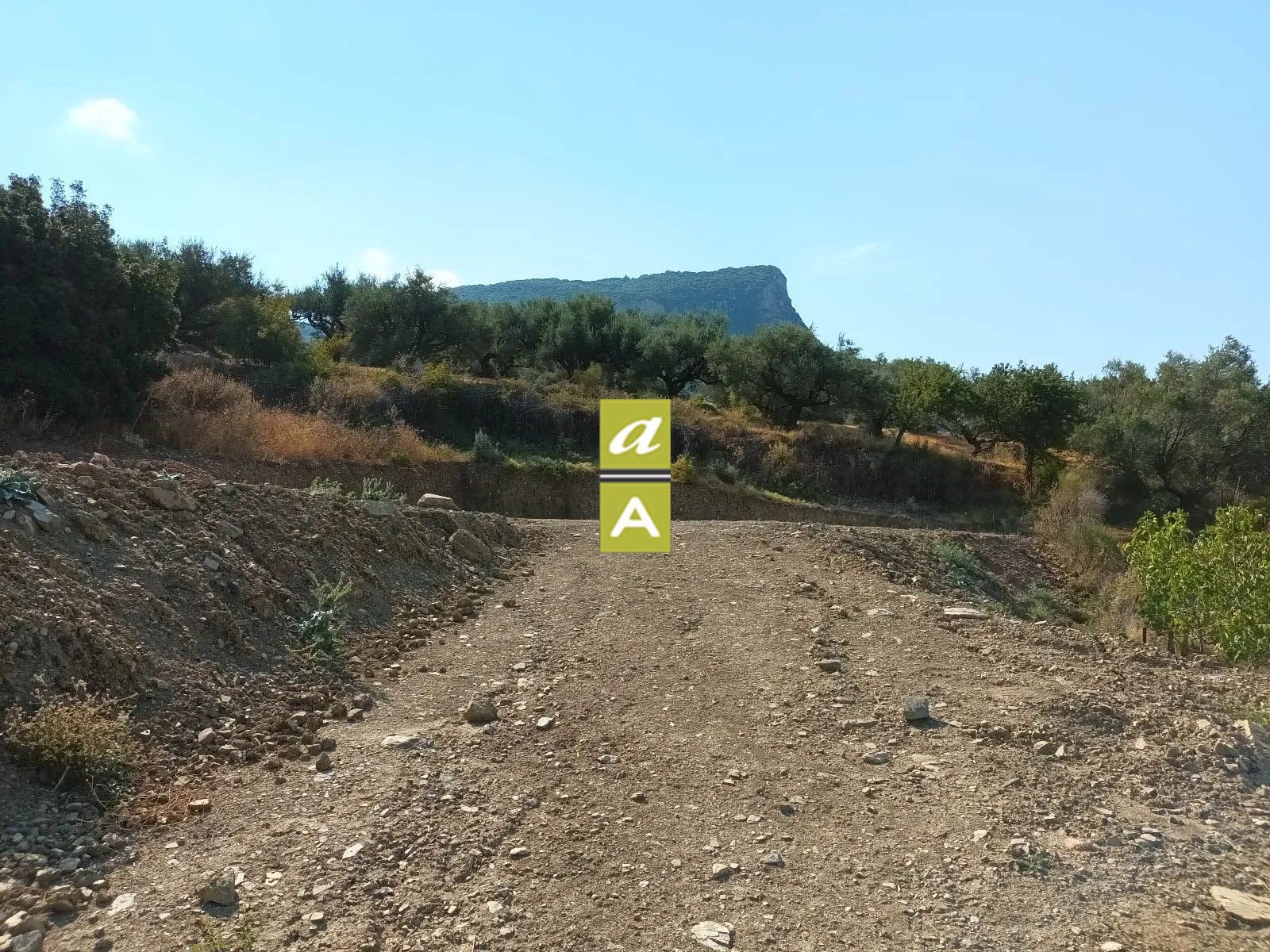 ΚΑΡΥΑ ΕΛΕΚΙΣΤΡΑΣ ΠΩΛΗΣΗ ΟΙΚΟΠΕΔΟΥ