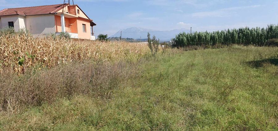 Toka Arrë në shitje, 4000m², 41.612€ - Kuçovë | Indomio.al