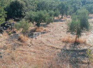 Πώληση, Αγροτεμάχιο, 3000τ.μ. Αετού, Νέα Αγριλιά | 14817393 | Spitogatos