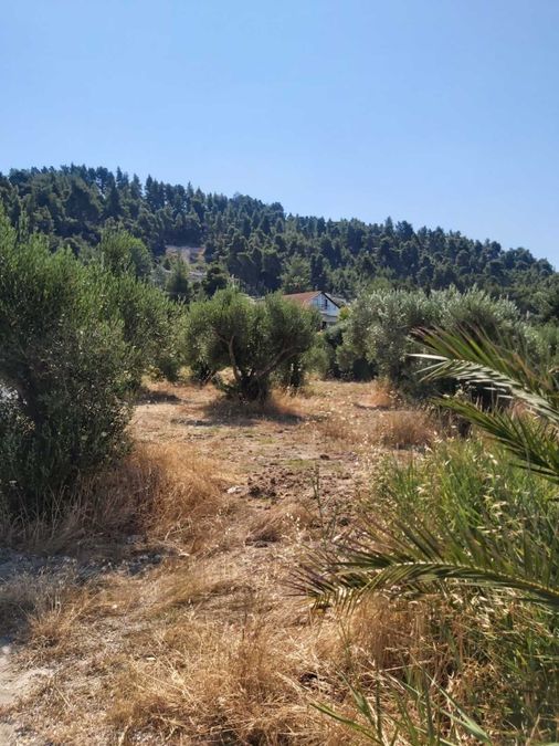 Πώληση, Οικόπεδο, 500τ.μ. Παλλήνη, Αγία Παρασκευή | 14873857 | Spitogatos
