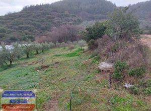Πώληση, Αγροτεμάχιο, 1250τ.μ. Ελευθερές, Άγιος Ανδρέας | 14891148 ...