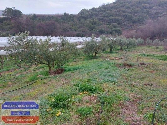 Πώληση, Αγροτεμάχιο, 1250τ.μ. Ελευθερές, Άγιος Ανδρέας | 14891148 ...