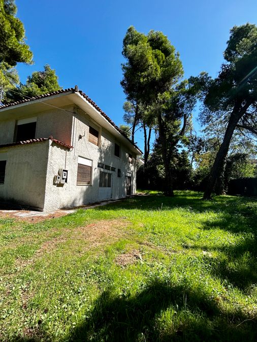 Πώληση, Μονοκατοικία, 280τ.μ. Εκάλη, Κάτω Εκάλη | 14917954 | Spitogatos
