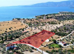 Πώληση, Αγροτεμάχιο, 6250τ.μ. Κρανίδι, Λάκκες | 15165713 | Spitogatos