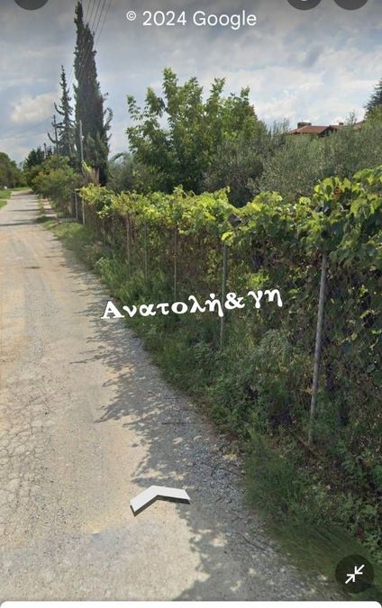 Πώληση, Αγροτεμάχιο, 5000τ.μ. Βασιλικά, Κέντρο | 15266528 | Spitogatos
