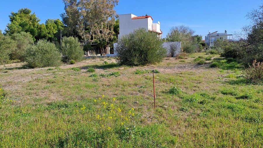 Οικόπεδο προς πώληση Γαλήνη (Αρτέμιδα (Λούτσα))