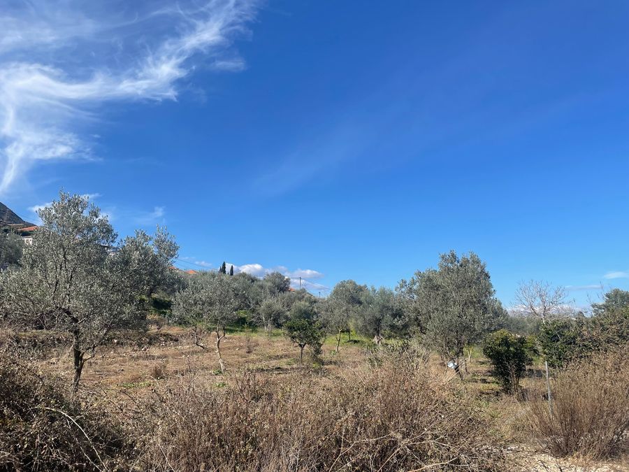 Πώληση, Αγροτεμάχιο, 1000τ.μ. Αίγιο, Σελινούντας | 15356331 | Spitogatos