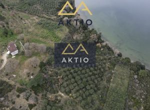 Πώληση, Αγροτεμάχιο, 10000τ.μ. Πρέβεζα, Άγιος Θωμάς | 15361899 | Spitogatos
