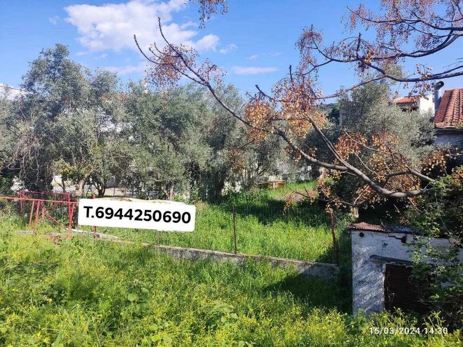 Μεσιτικό Γραφείο Ελληνικη Ευλογημενη Γη Μεσιτικο γραφειο, Βόλος ...