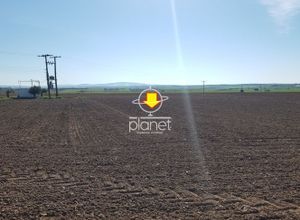 Sale, Parcel, 10500m² Epanomi, Center | 11066791 | Spitogatos