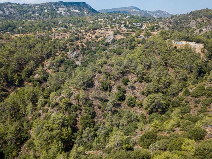Land plot for sale, 20346sqm, 90,000€ - Pera Pedi | Spitogatos.com.cy