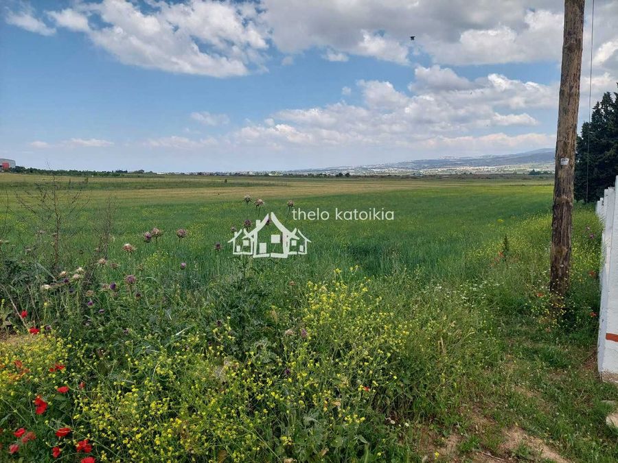 Πώληση, Αγροτεμάχιο, 4800τ.μ. Βασιλικά, Αγία Παρασκευή | 15722372 ...