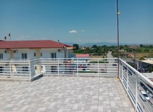 Sale, Apartment, 50m² Paralia, Center | 16066464 | Spitogatos