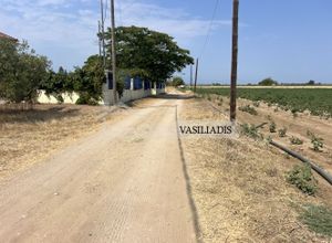 Sale, Parcel, 8500m² Epanomi, Center | 16242798 | Spitogatos