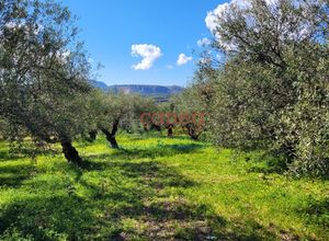 Sale, Plot, 2250m² Armenoi, Kalives | 16277098 | Spitogatos