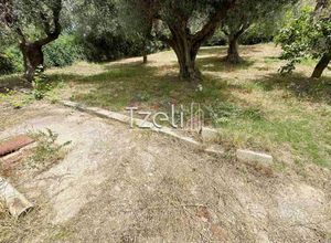 Πώληση, Οικόπεδο, 800τ.μ. Παραλία, Ρογίτικα | 16418214 | Spitogatos