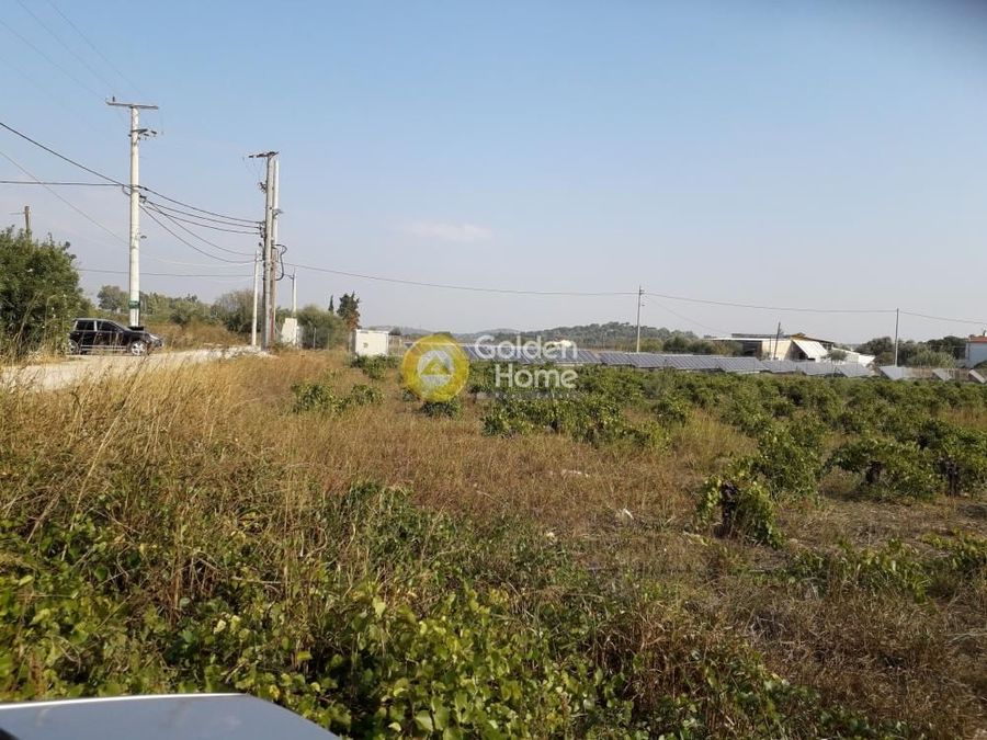Πώληση, Αγροτεμάχιο, 5900τ.μ. Παιανία, Αργιθέα | 16567165 | Spitogatos