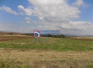 Πώληση, Αγροτεμάχιο, 10000τ.μ. Δομοκός, Μακρολίβαδο | 16673095 | Spitogatos