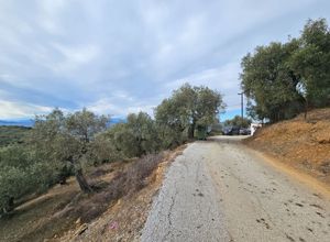 Πώληση, Αγροτεμάχιο, 4344τ.μ. Αφέτες, Ζερβόχια | 16775080 | Spitogatos