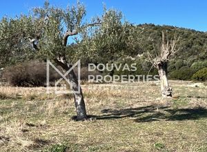 Sale, Plot, 4780m² Toroni, Destenika | 16786788 | Spitogatos