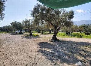 Πώληση, Αγροτεμάχιο, 6264τ.μ. Ζάκυνθος, Αρκάδι | 17104698 | Spitogatos