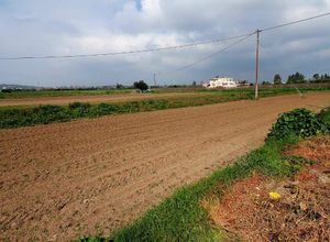 Πώληση, Αγροτεμάχιο, 5000τ.μ. Επανομή, Κέντρο | 17184854 | Spitogatos