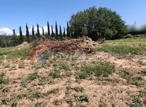 Πώληση, Αγροτεμάχιο, 5808τ.μ. Πυλαία, Πουρνάρι | 17642020 | Spitogatos