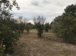 Sale, Detached house, 195m² Aigio, Temeni | 17721612 | Spitogatos