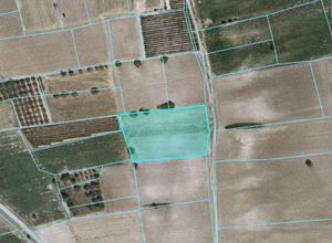 Sale, Parcel, 6500m² Epanomi, Center | 14716414 | Spitogatos